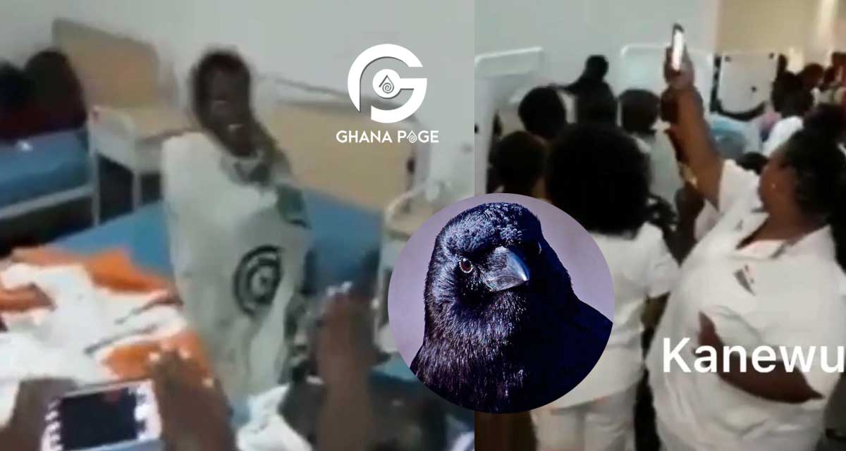 Bird turns into a woman at a hospital ward after falling from the roof