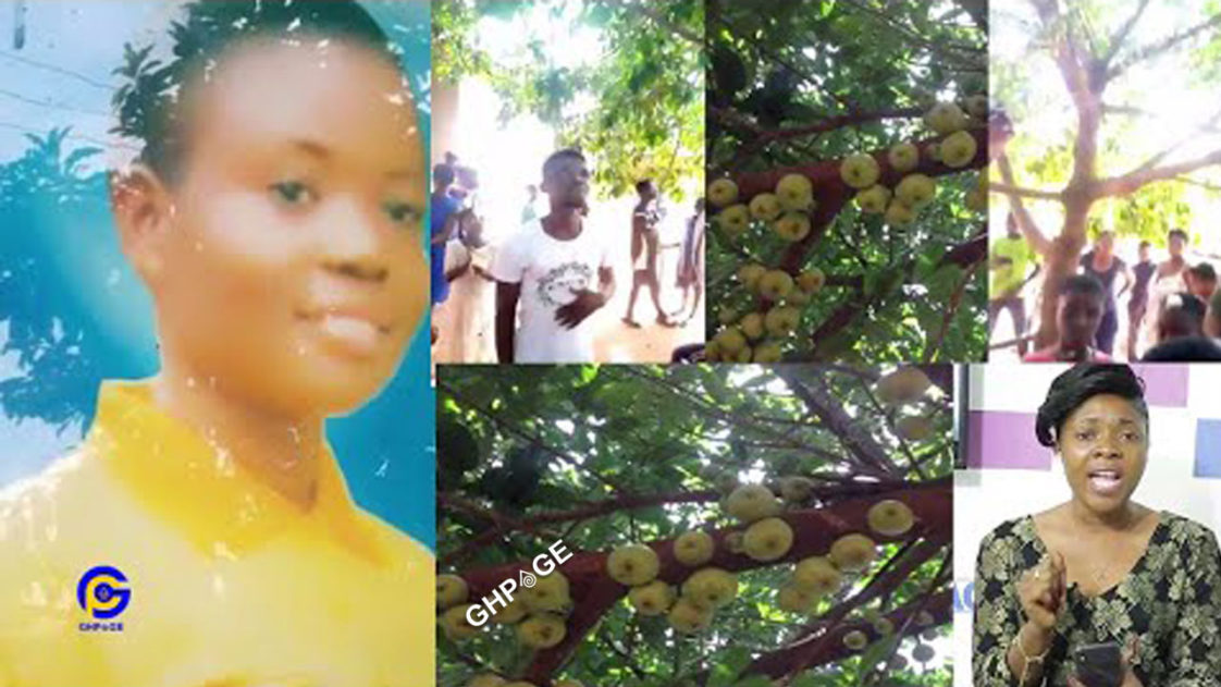 24-year-old girl makes history- grows the first apple tree in Ghana