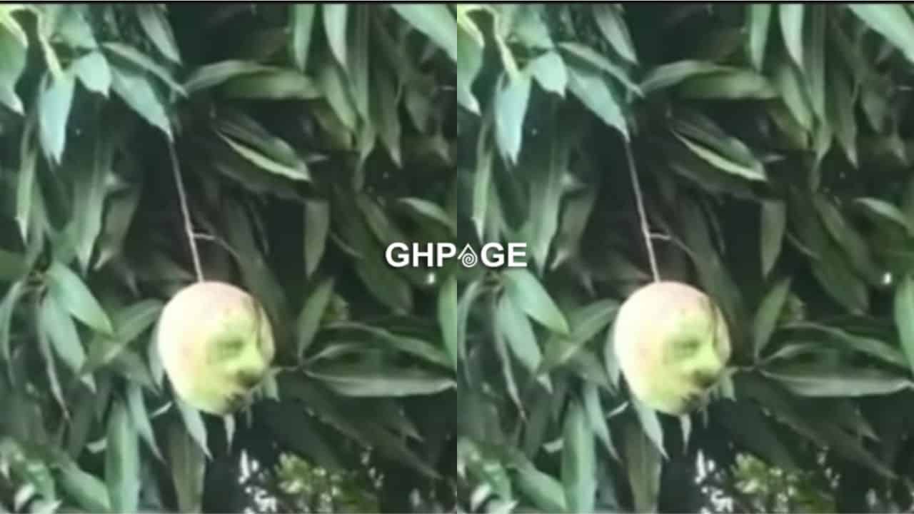 Wonders! Mango with a human's face discovered; Social media users react ...