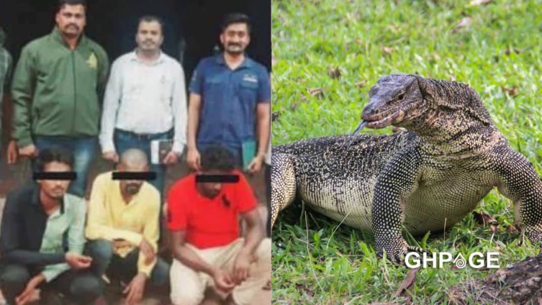 Four men arrested for gang-raping a monitor lizard - GhPage