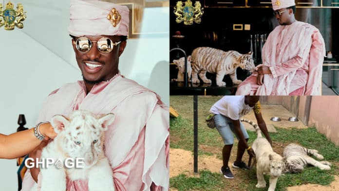 ‘Tigers at Wonda World Estates pose no danger’ – Wildlife Division - GhPage