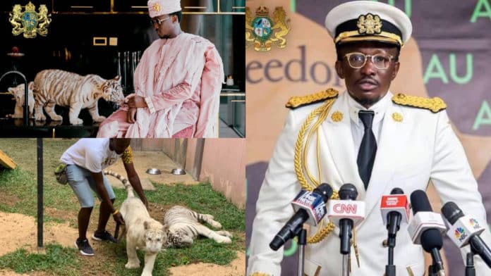 Freedom Jacob Caesar reacts after Wildlife move to seize tigers