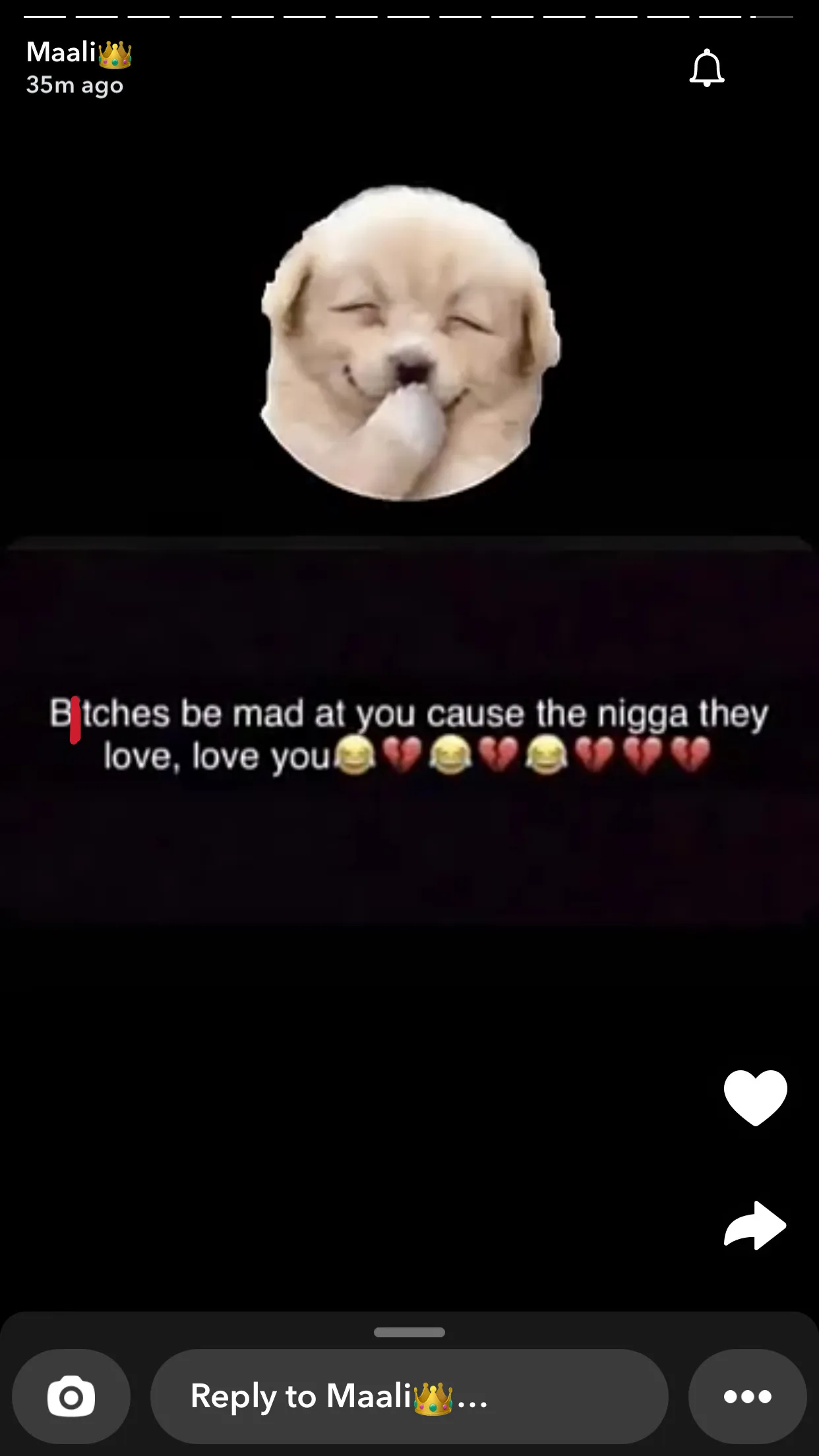 Girls are jealous of me because they love Shatta Wale and he loves me ...