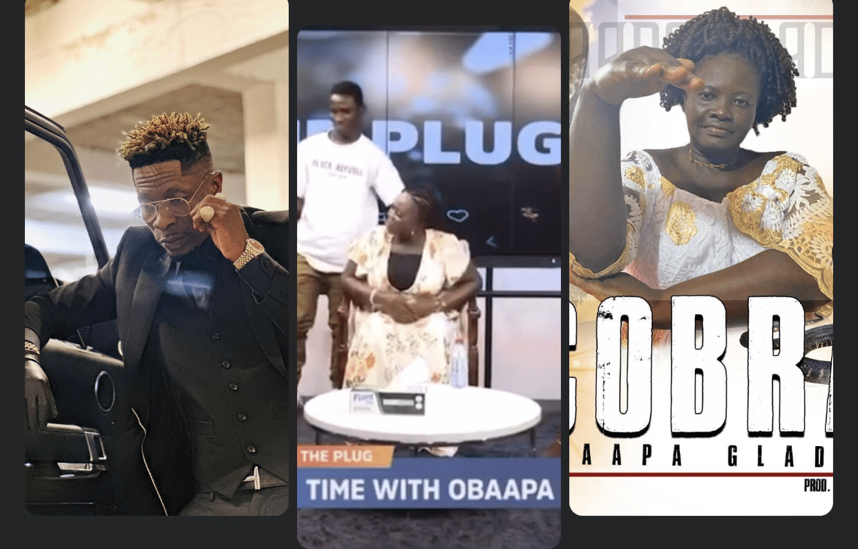 "Junior Shatta Cobra": Obaapa Gladys names son after Shatta Wale ...