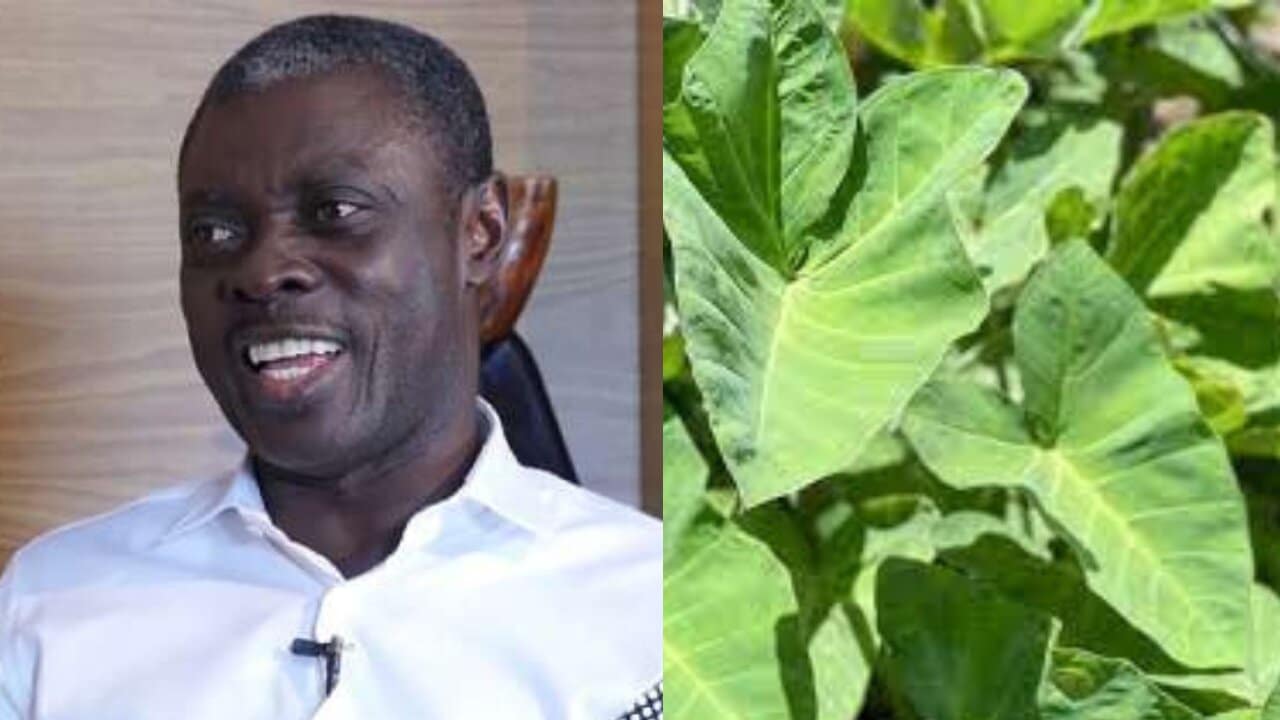 "I sold kontomire for 5 good years" - Osofo Kyiri Abosom recounts grass ...