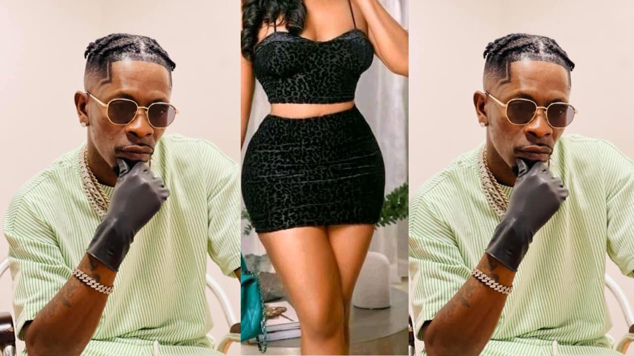 Shatta Wale 5some; One French lady and three Ghanaians (Video) - GhPage