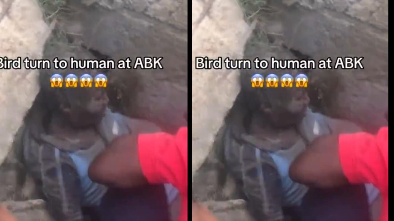 Wonders! Woman who allegedly transformed into a bird to fly at night ...
