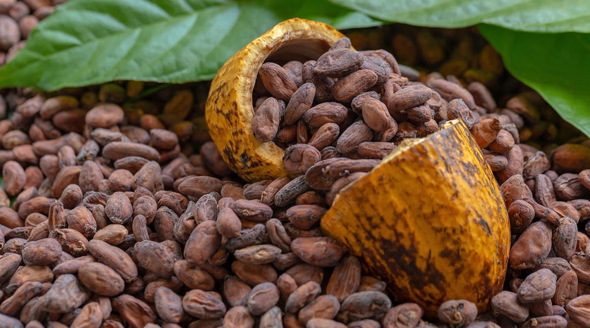 Climate Crisis Fuels Record Chocolate Prices as Cocoa Harvests Struggle ...